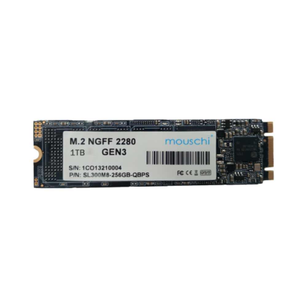 Mouschi - Solid State SSD Drive - M.2 NGFF 2280 – Selfani